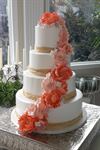 Edda's Cake Designs, Miami, FL Partner
