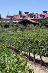 Byington Vineyard And Winery, Los Gatos, California, Wedding Venue