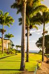 The Wainaku Executive Center, Hilo, Hawaii, Wedding Venue