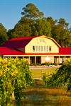 Gregory Vineyards, Angier, North Carolina, Wedding Venue