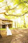 Colley Hill Farm, Dandridge, Tennessee, Wedding Venue