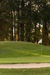 Burning Tree Golf And Country Club, Macomb, Michigan, Wedding Venue
