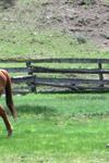 Idaho Guest Ranch - Lazy R Ranch, Banks, Idaho, Wedding Venue