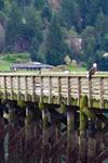 Allyn Waterfront Park, Allyn, Washington, Wedding Venue