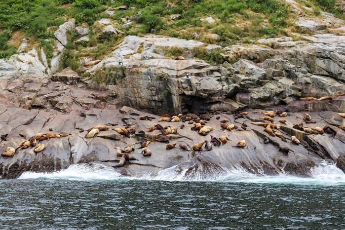 Fox Island: The Most Romantic Island in America